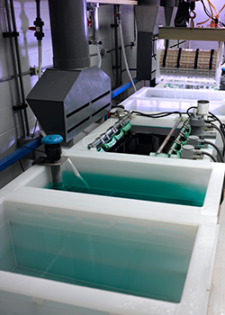 Plating, Coating and Marking | Phillips Components